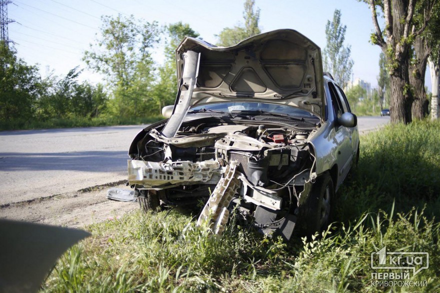 Заснул за рулем: водитель на "Renault" врезался в дерево (фото) - DPChas